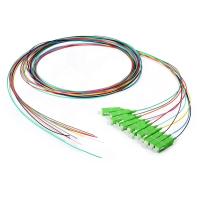 China 12 Core SC UPC APC SM G652D G657A 0.9mm Fiber Optic Pigtails for sale