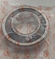 China Automotive Bearing DG4090/28/23 2RS Auto Wheel Hub Bearing for sale