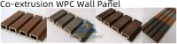 China 380V 50Hz 3phase WPC Wall Panel Making Machine Width 300mm/400mm/600mm for sale