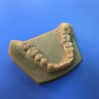 China High Precision Gray Tooth Model FDM 3D Printing Service 0.08mm Layer Thickness for Medical Industry for sale