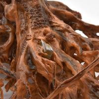 China Tree Root Multi Jet Fusion 3D Printing , Rohs 3D Resin Printing Service for sale