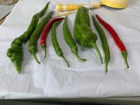 China Vacuum Plating Custom 3D Printing Service For Decoration Art Plant Chilli Model for sale