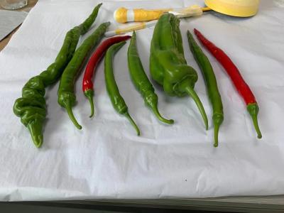 China Vacuum Plating Custom 3D Printing Service For Decoration Art Plant Chilli Model for sale