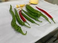 China Vacuum Plating Custom 3D Printing Service For Decoration Art Plant Chilli Model for sale