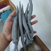 China Vacuum Plating Custom 3D Printing Service For Decoration Art Plant Chilli Model for sale