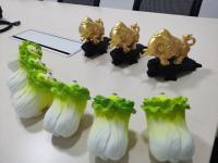 China Custom Resin 3D Printing Service for Home Decoration Art Plant Model 0.1mm Accuracy for sale