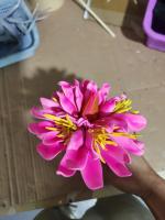 China Custom Resin 3D Printing Service for Home Decoration Art Plant Model 0.1mm Accuracy for sale