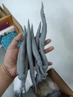 China Custom Resin 3D Printing Service for Home Decoration Art Plant Model 0.1mm Accuracy for sale