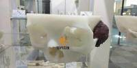 China Industrial Model SLA 3D Printing Service Custom 3d Rapid Prototyping Services for sale