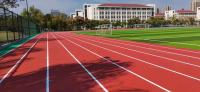 China 13mm Thickness Wear Resistance Sandwich Running Track Athletics Running Track for sale