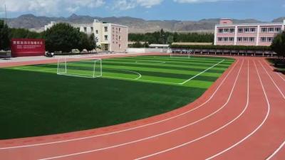 China International Standard PU Athletic Rubber Running Track 13mm for sale