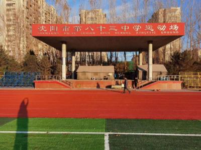 China Strong Wearresistance Weatherability PU Runway Flooring 13mm for sale