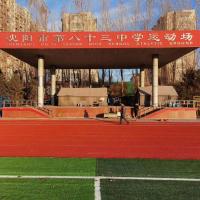 China 13mm Laaf Synthetic PU Running Track Shock Absorption Anti Slide for sale