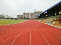 China 13mm Rubber Running Track , Non Toxic Red Running Track for sale
