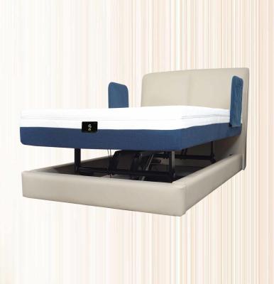 China Electric Lift Bed Intelligent Bed Multifunctional Home Care Bed Automatic Removable Assisted Standing Backrest E200H for sale