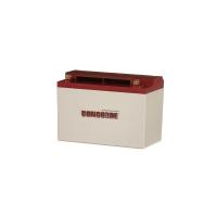 China Concorde RG-35A 29 Ah Lead Acid Aircraft Battery RG-35AXC VRLA for sale