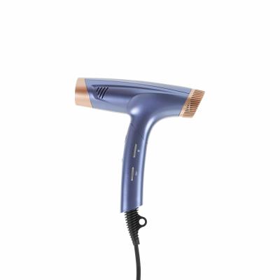 China Custom Personalized DC Motor Hair Dryer Blowing High Speed Lightweight for sale