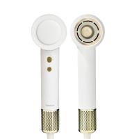 China 110000rpm Fast Drying Blow Dryer Straight Small Hair Dryer For household/hotel for sale