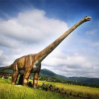 China Outdoor Amusement Equipment Animatronic Dino Long Neck Brachiosaurus for sale