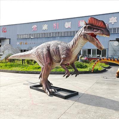 China Dinosaur Park Attraction Life-Size Spitting Dilophosaurus Animatronic for sale