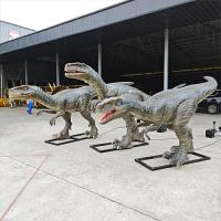 China Outdoor Durable Animatronic Velociraptor Dinosaur With Agile Movements 110V or 220V for sale