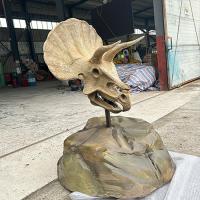 China Handmade Fiberglass Dinosaur Bone Model Kit Triceratops Skull Replica for sale