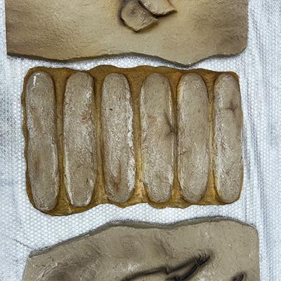 China Science Center Educational Display Real Dinosaur Egg Fossils Replicas Bone for sale