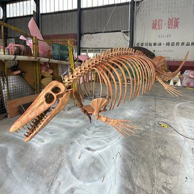 China Museum Quality Dinosaur Skeleton Model Kits Fiberglass Resin Fossil Simulation for sale