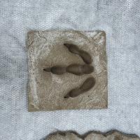 China Artificial Replica Museum Standard Dinosaur Skeleton Model Fossil Skeleton Replica for sale