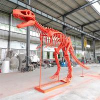 China Fiberglass Sculpture Life Size Dinosaur Skeleton Model Resin Crafts for sale