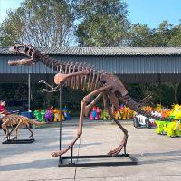 China Artificial Life Size Largest Tyrannosaurus Rex Skeleton Fossil Model Dinosaur Skeleton Replica for sale