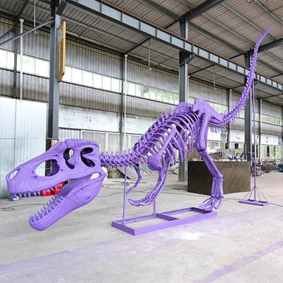 China Museum Exhibition Education Dinosaur Skeleton Replica T Rex Skeleton Fossil for sale