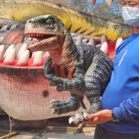 China Realistic T-Rex Full Body Dinosaur Puppet With Moving Jaw And Sound Effects for sale