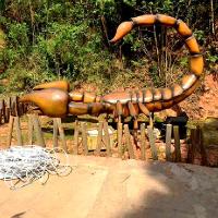 China Scorpion Animatronic Insects for Museums Science Centers and Themed Attractions for sale