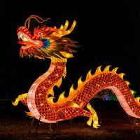 China Durable 2026  Chinese New Year Lanterns Decoration Lighting Festive Satin Cloth Lantern Show for sale