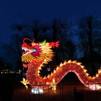 China Outdoor Chinese New Year Lanterns Festival Lanterns Led Dragon Lantern for sale