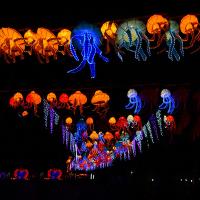 China Theme Park Illuminate Light Show Holiday Silk Festival Lantern Exhibition for sale