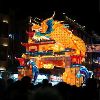 China Wonderland Immersive Experience Winter Light Traditional Lantern Festival for sale