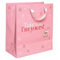 China Recycled Art Paper Luxury Gift Bags CMYK Matt Lamination for sale