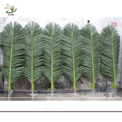 China UVG Wholesale Green Artificial Palm Tree Leaves PTR014 Outdoor Home Decoration 6ft for sale