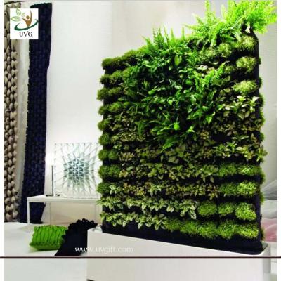 China UVG GRW02 Vertical Green Wall Artificial Plants for Meeting Room Landscaping 50x50cm for sale