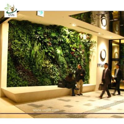 China UVG GRW03 Artificial Plant Walls for Indoor Outdoor Garden Decoration 50x50cm for sale