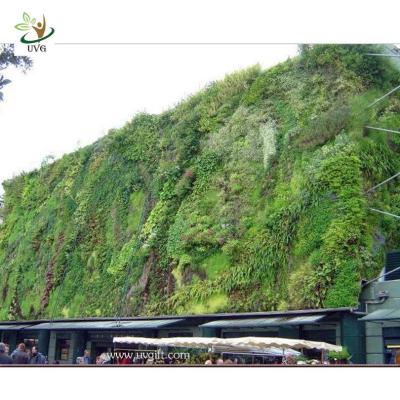 China UVG Artificial Plant Wall GRW05 for Indoor Decoration Building Landscaping 50x50cm for sale