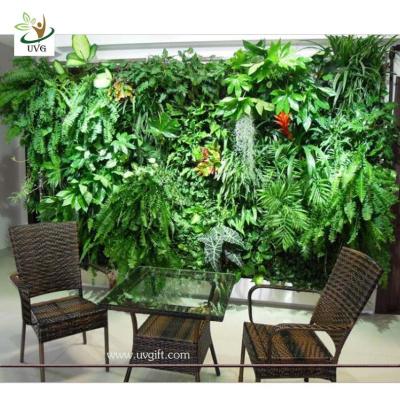 China UVG GRW06 Artificial Green Wall Panels Fake Garden Walls for Library Decoration 50x50cm for sale