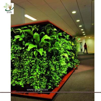China UVG GRW09 Wholesale Artificial Green Wall Plants Plastic Faux Foliage 50x50cm Panel for Garden Landscaping for sale