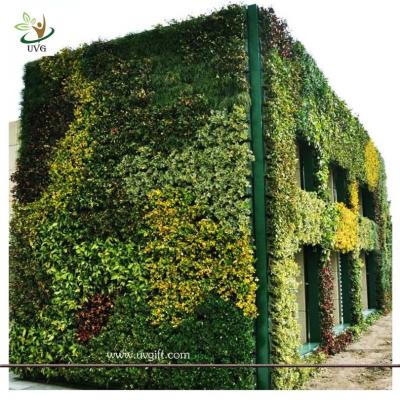 China UVG GRW011 Vertical Garden Green Wall Artificial Plants Indoor Outdoor Use 50x50cm for sale