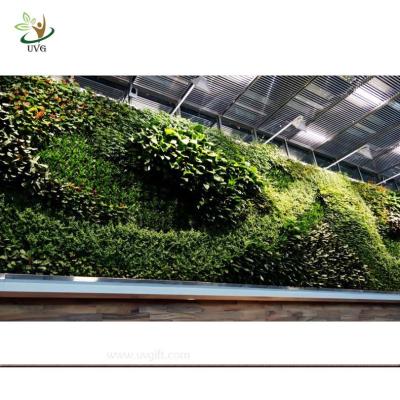 China UVG GRW016 Artificial Living Wall Decorative Indoor Plants 50x50cm Green Panel for sale