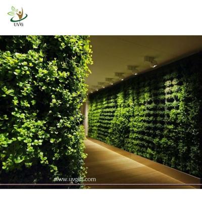 China UVG GRW020 Artificial Green Wall Panels Plastic Plant Wall for Garden Decking 50x50cm for sale