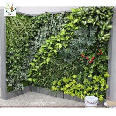 China UVG GRW021 Artificial Green Wall Plants for Garden Park Landscaping 50x50cm for sale