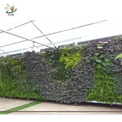 China UVG GRW022 Artificial Plants Wall Decoration 60x60cm UV Resistant for Garden Landscaping for sale